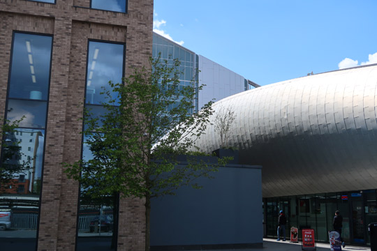 What’s Happening With This Slough Regeneration? | The Mummy Stylist