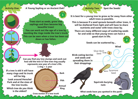 Tree-mendous Tree Trail at Herschel Park, Slough | Berkshire | The ...